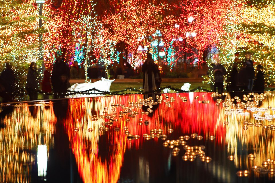 Christmas at Temple Square Like You've Never Seen It Before (Photos and ...